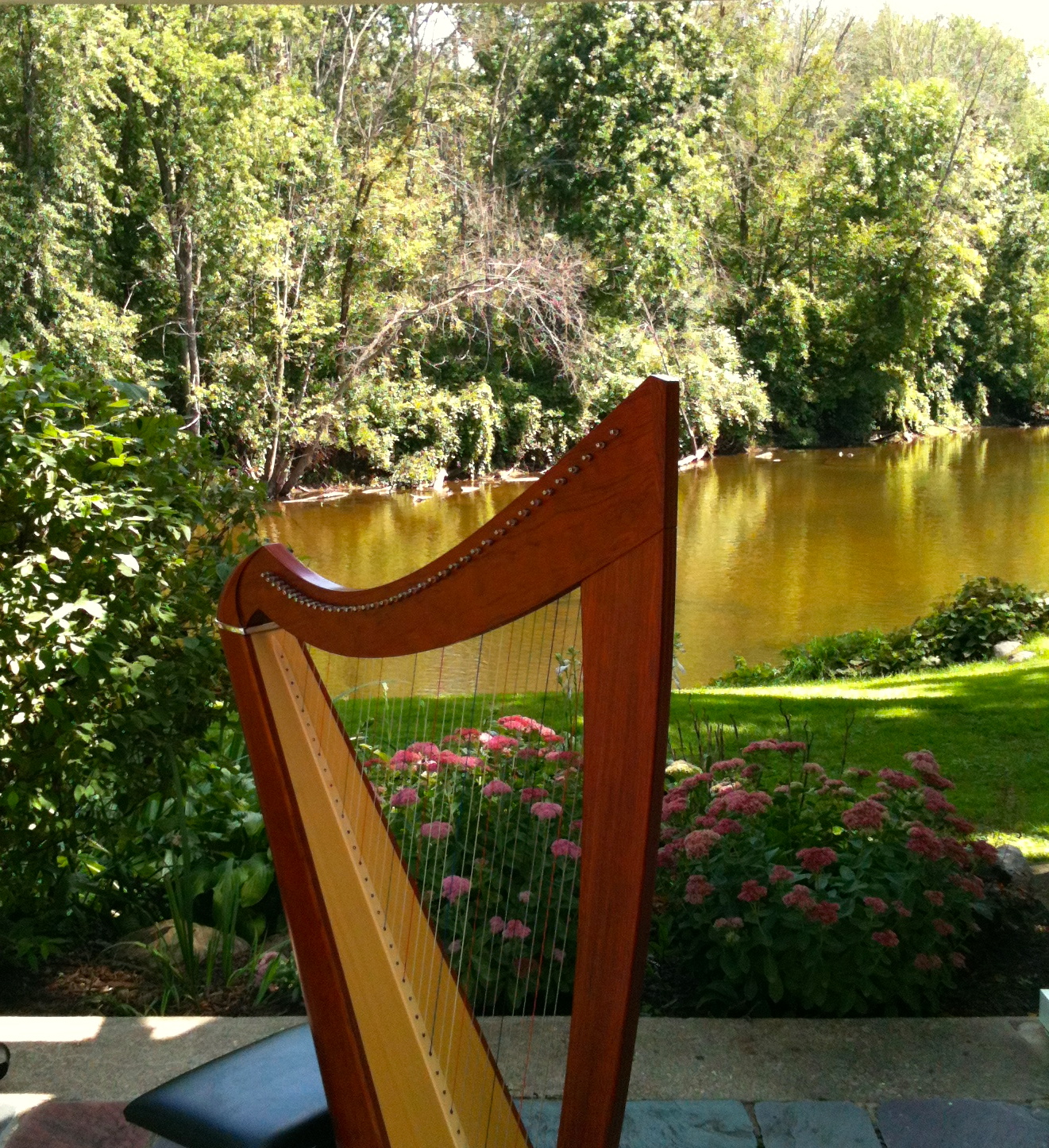 IMG_0239 | Christa Grix Michigan Harpist